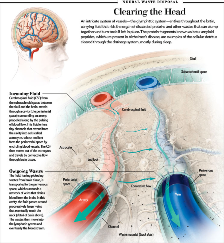 Bring out the Glymph - Noigroup