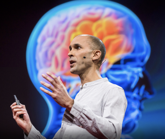 Hallucinations, consciousness and pain - Noigroup