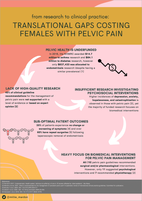 The cost of translational gaps for people with pelvic pain - Noigroup
