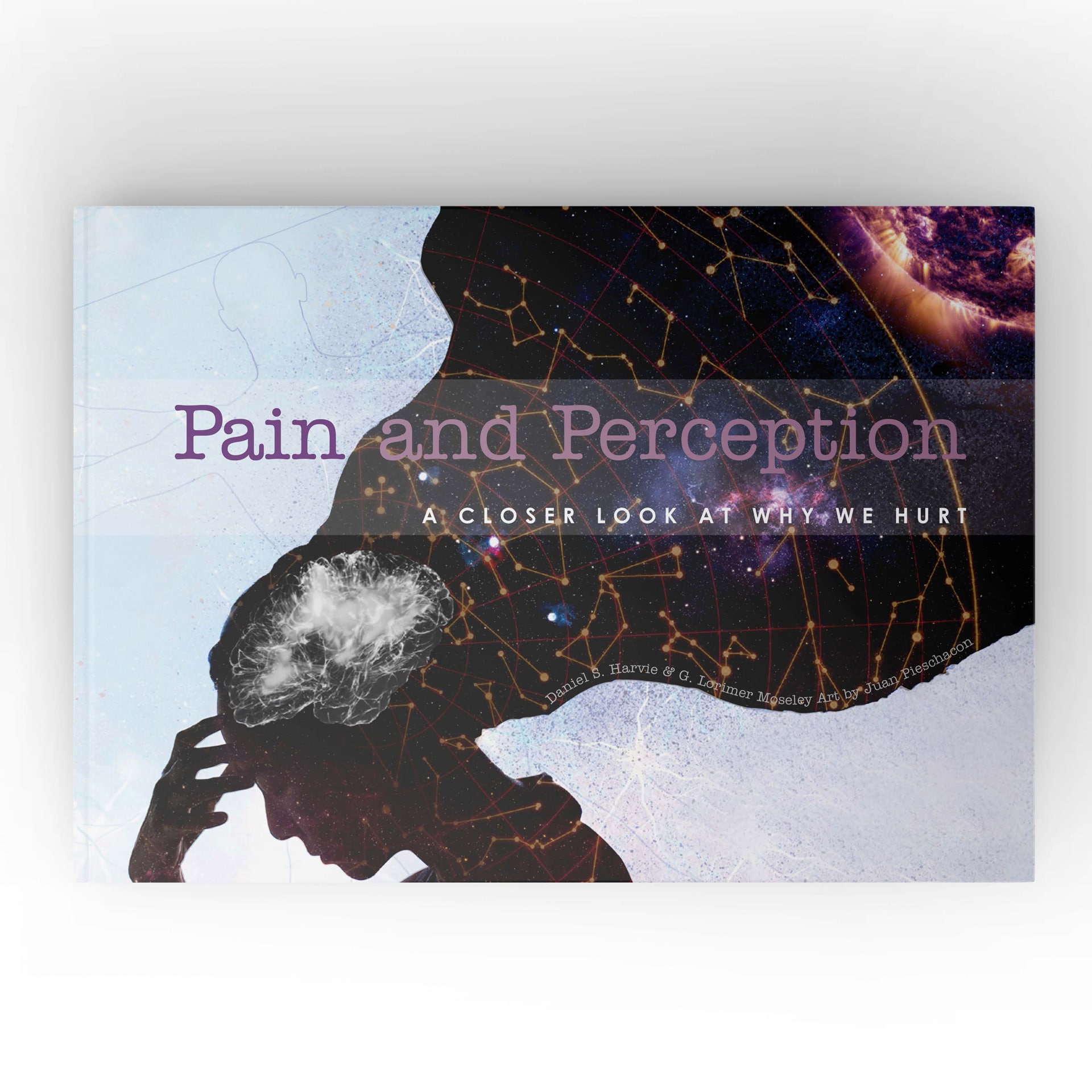 Pain and Perception: A closer look at why we hurt - Noigroup