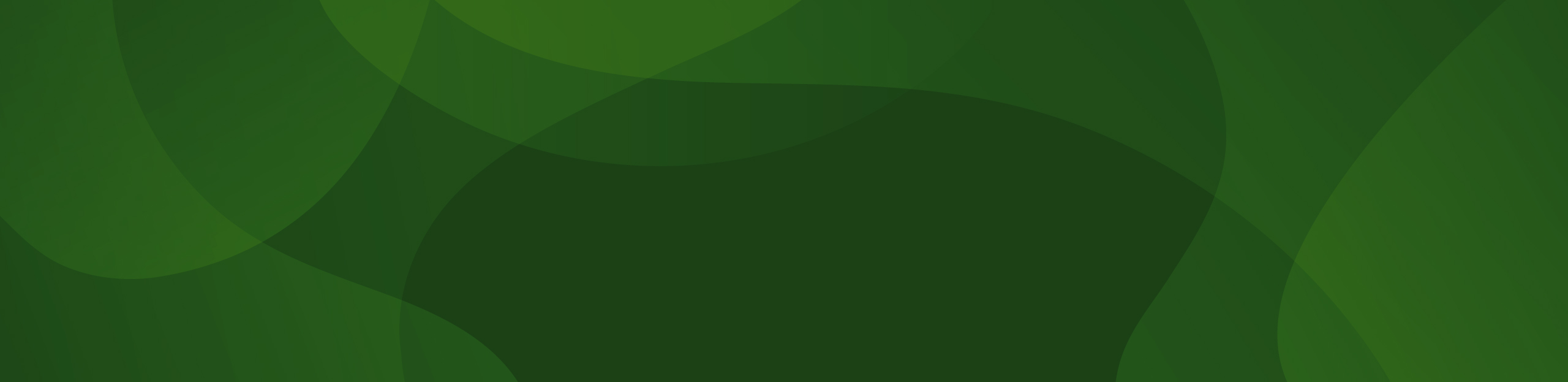 Bodily Relearning, Vancouver - Noigroup