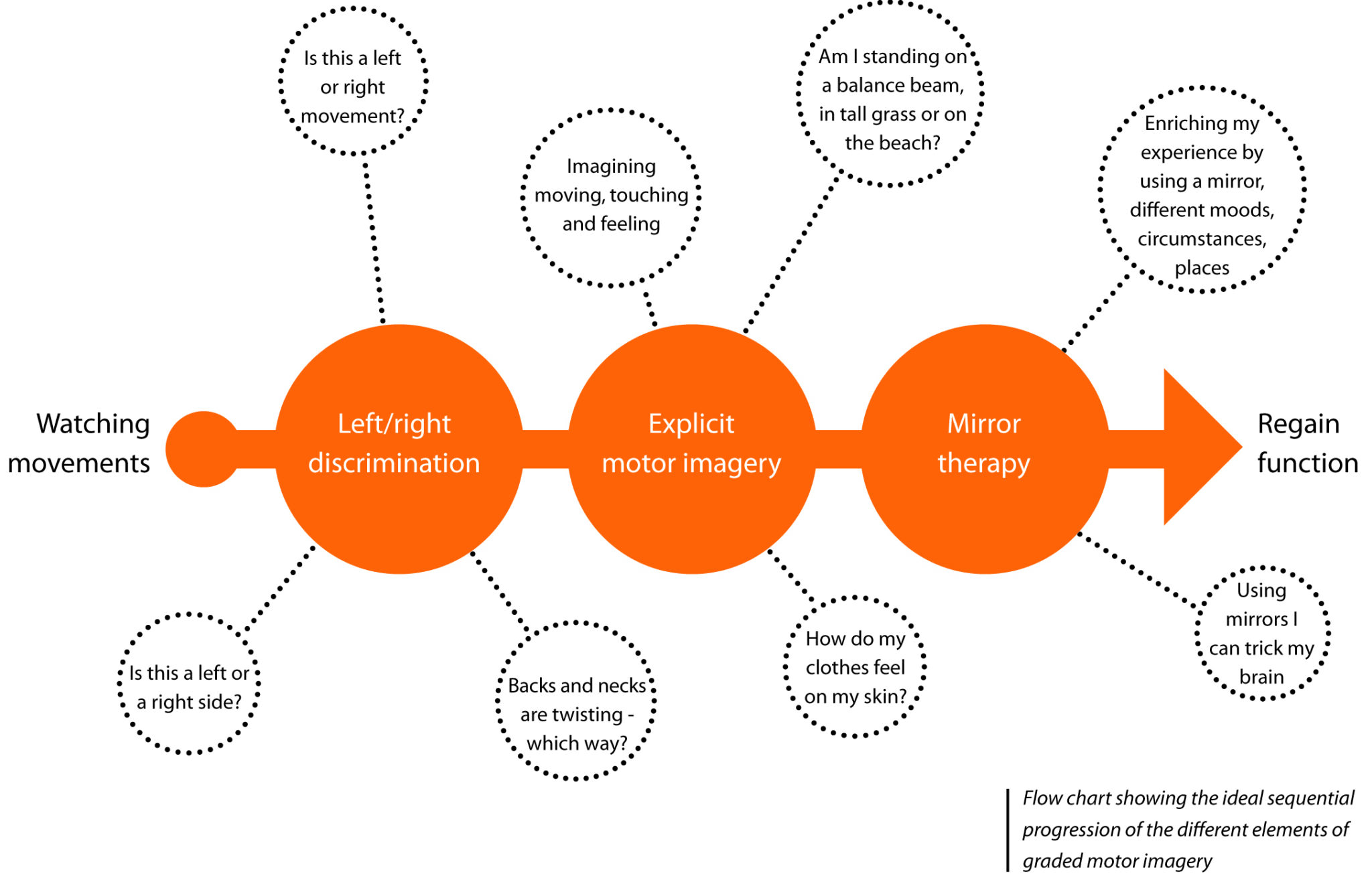 Graded Motor Imagery - Noigroup
